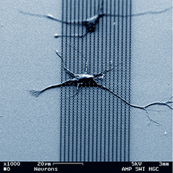 Cornell NanoScale Facility - CNF | CNF